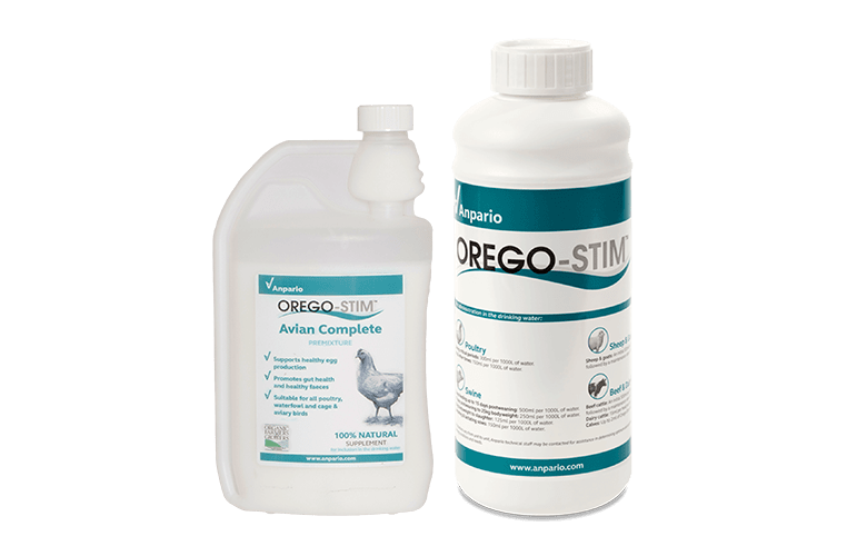 Q&A: Orego-Stim in Laying Hens | Anpario Direct